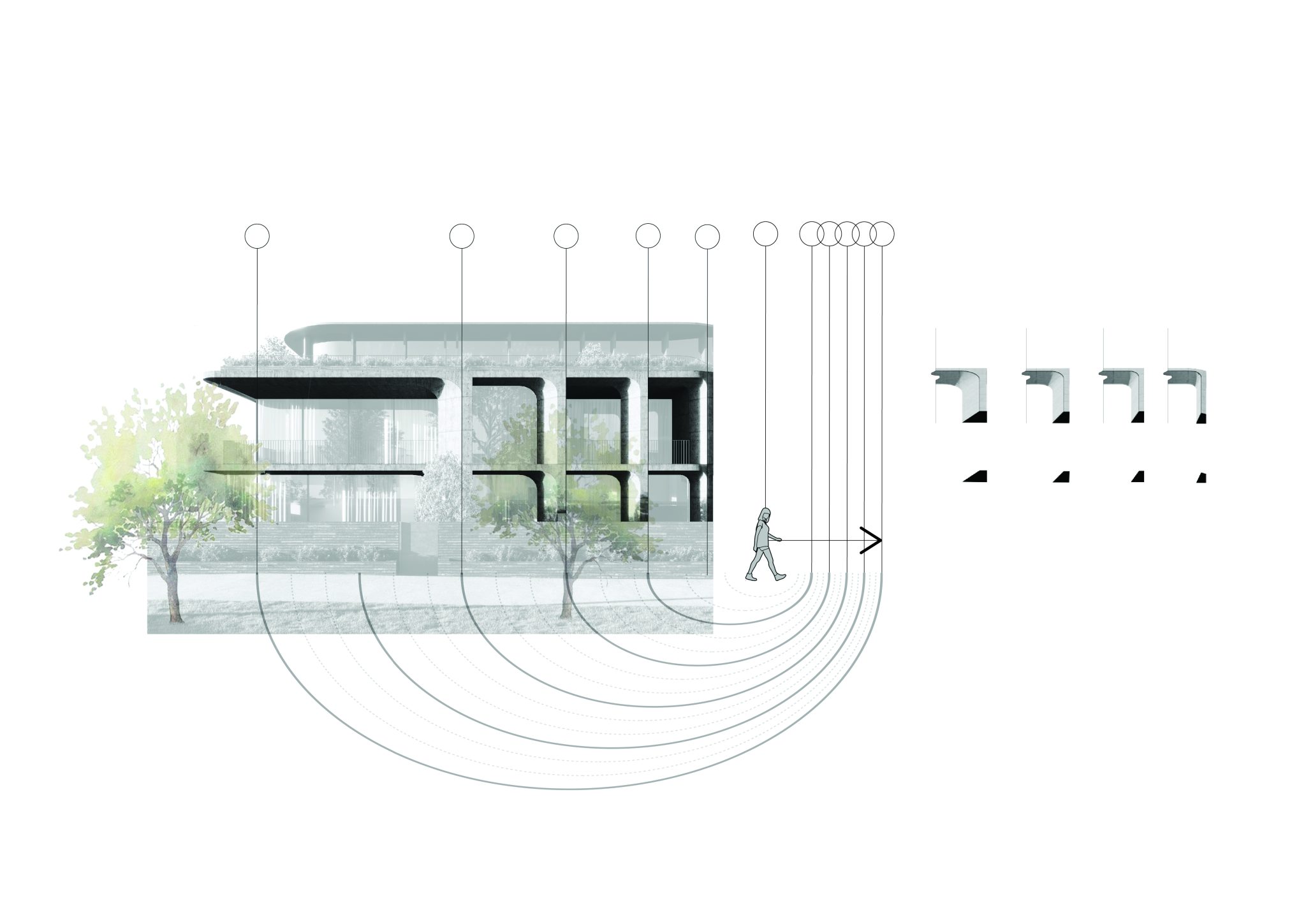 Boxshall | Cera Stribley