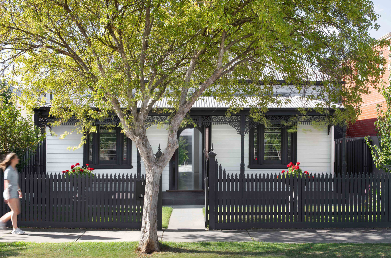 Maple House | Cera Stribley