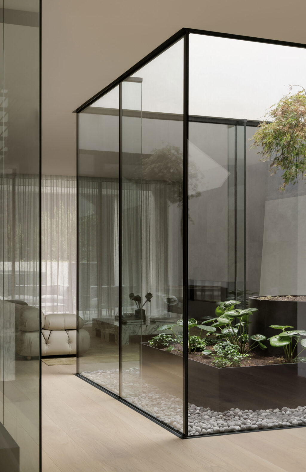 Douglas House | Cera Stribley