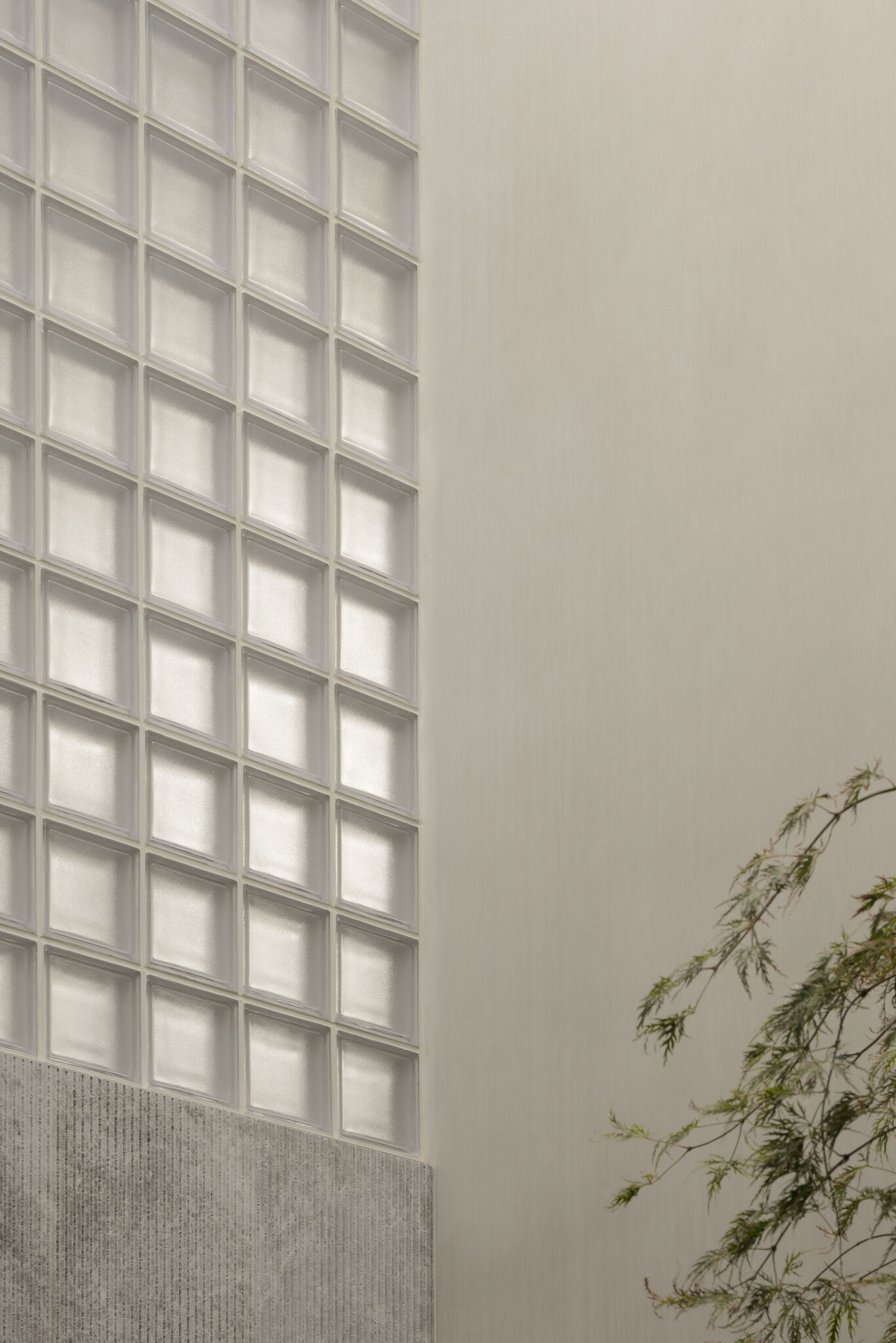 Douglas House | Cera Stribley