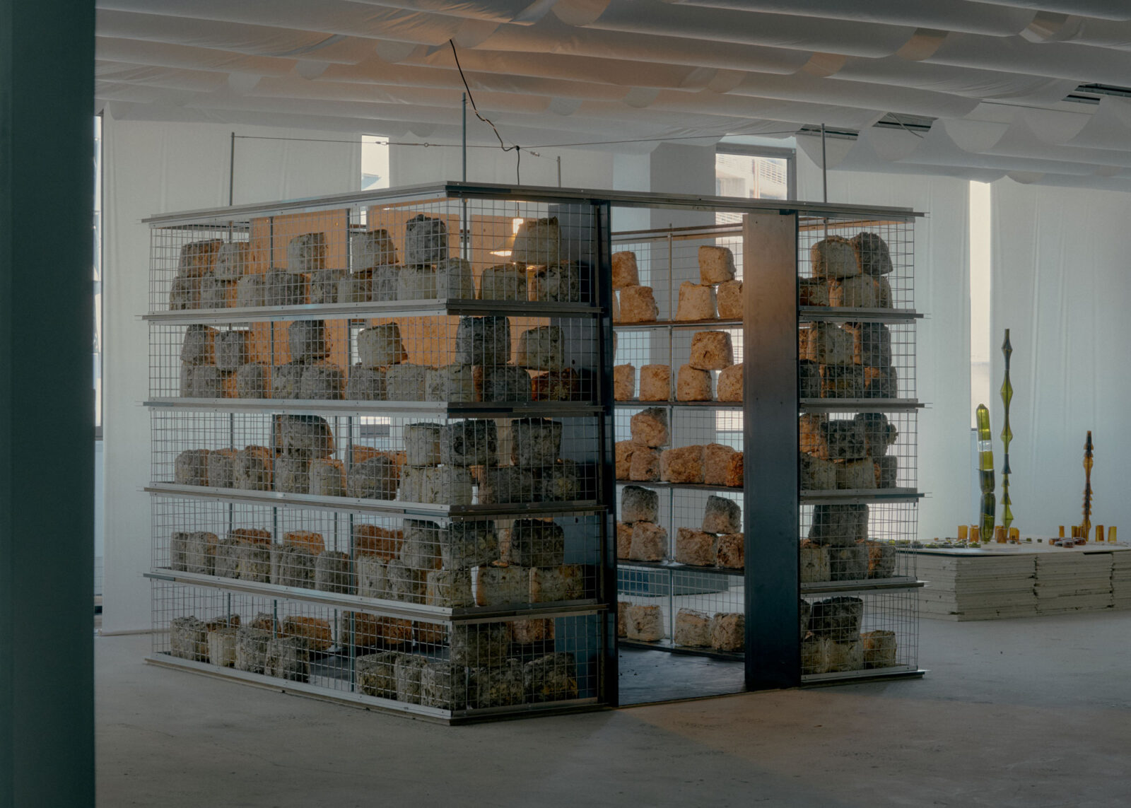 Mycelium and the future of retail design | Cera Stribley