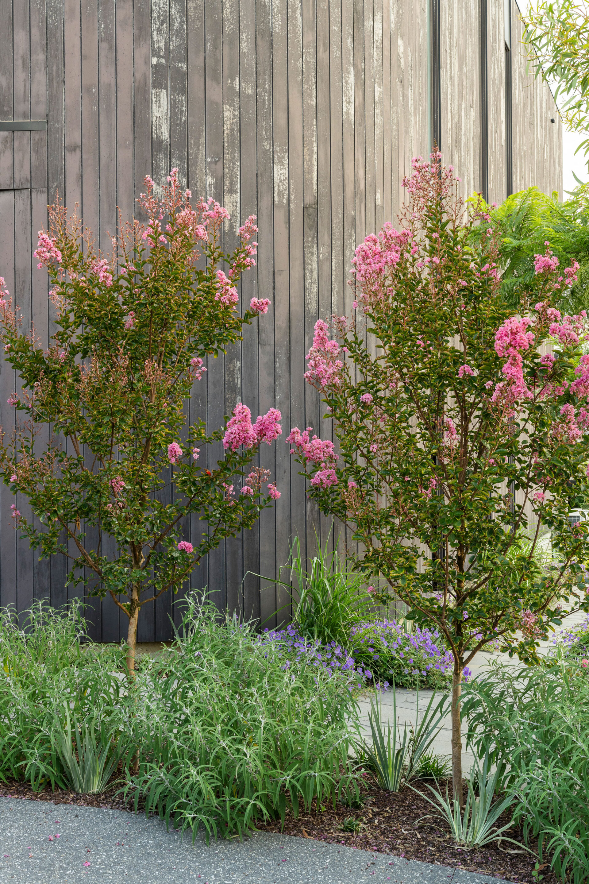 A fresh perspective | Why we're venturing into the landscape sector ...