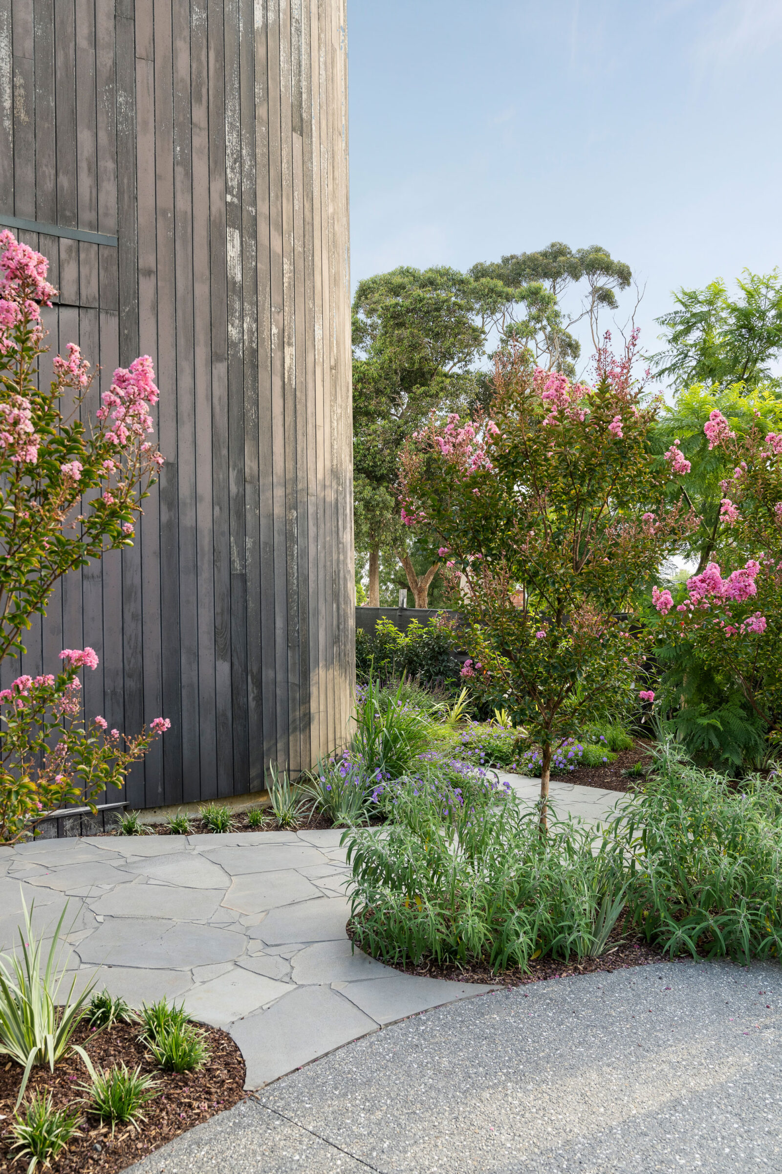 View Court | Cera Stribley